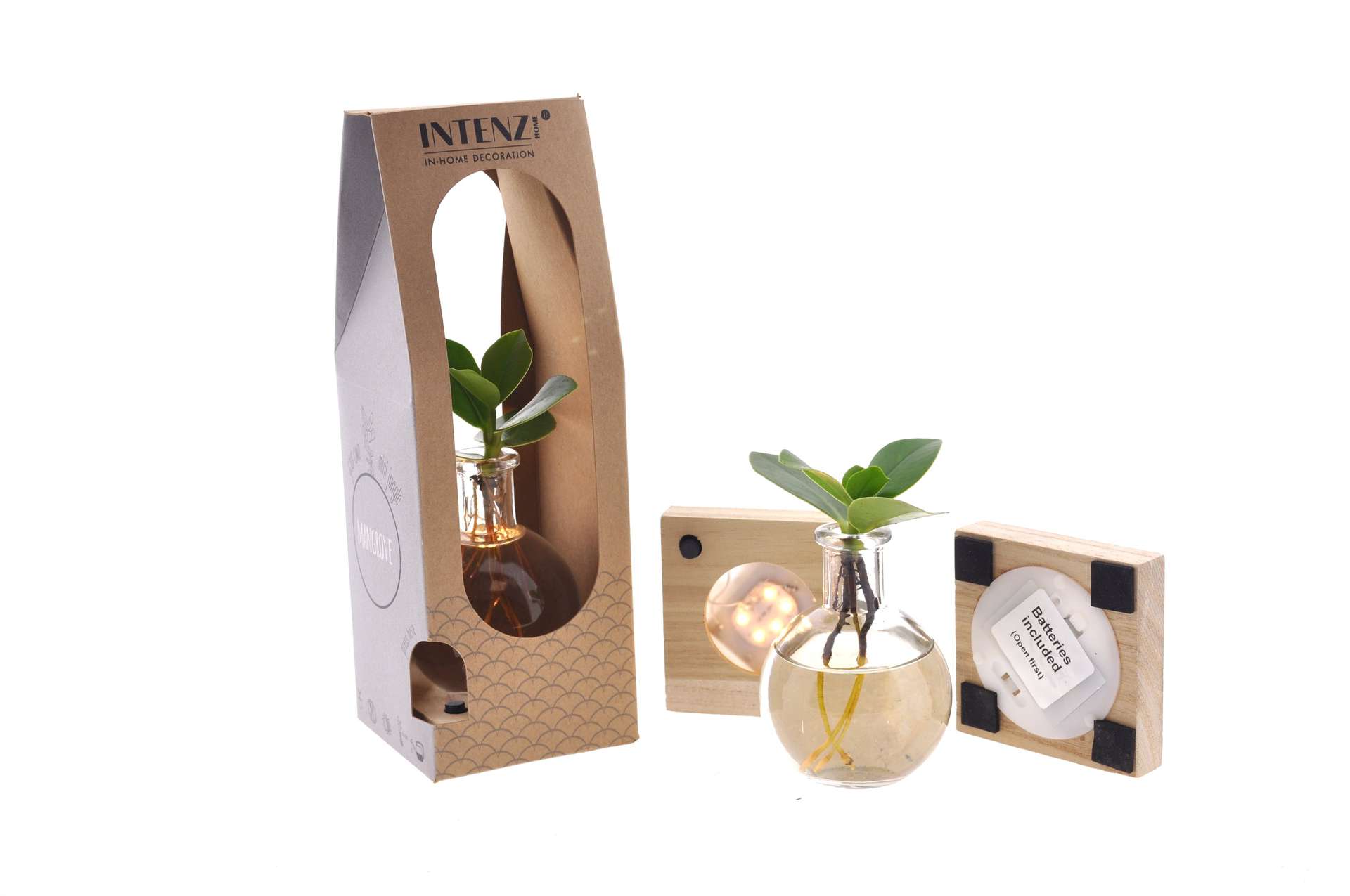 Intenz Home Giftset Plantje met led plateau kopen? Shop planten ...